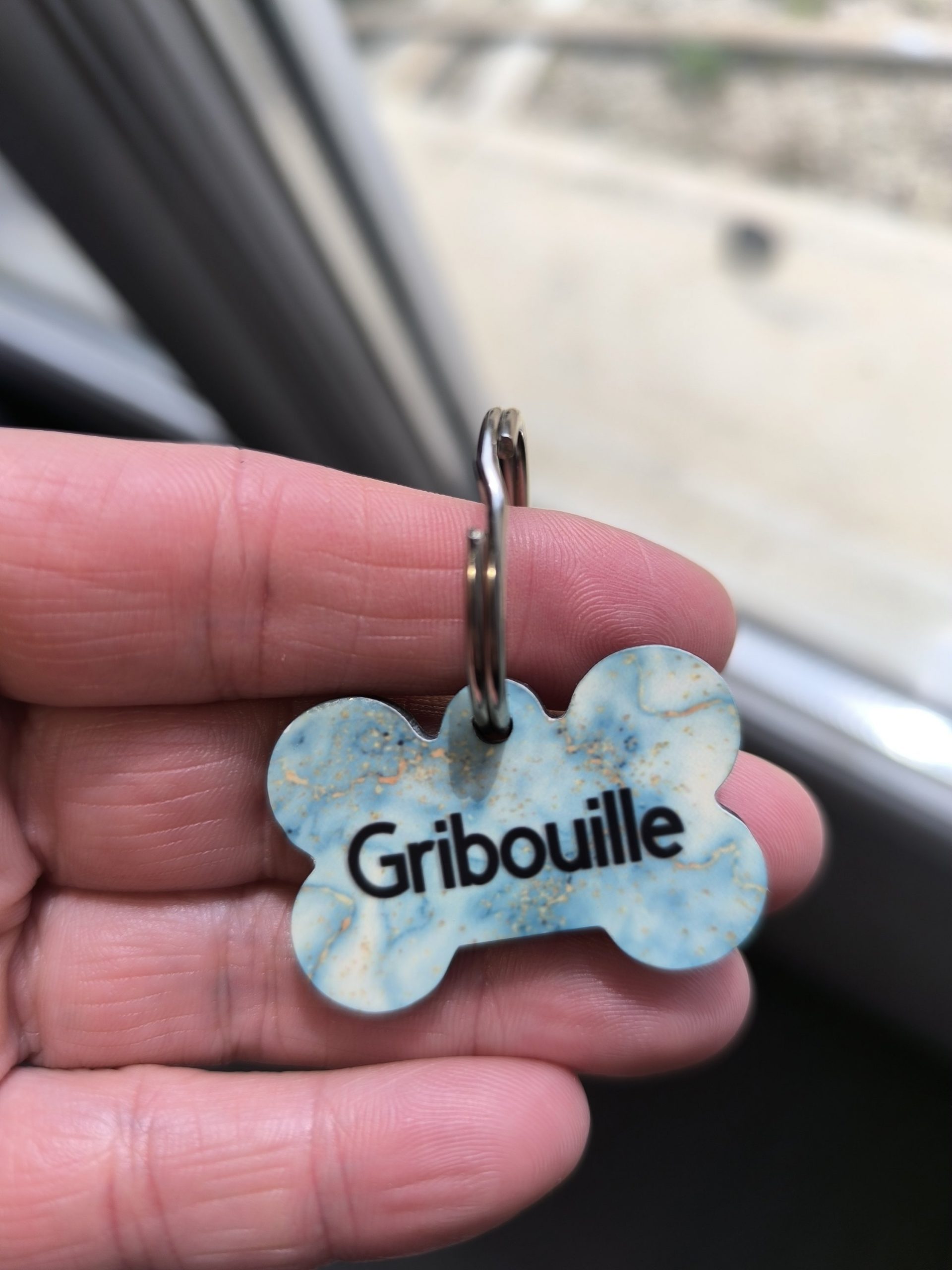 médaillon chien ou chat personnalisable en sublimation - Siana Créa